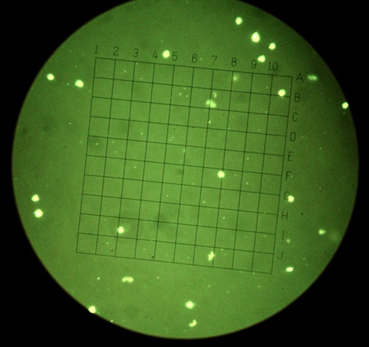Viruses, the Virosphere and Astrovirology – Many Worlds